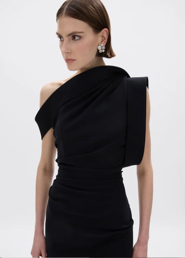 Rachel Gilbert Rowana Gown in Black – That Dress Hire